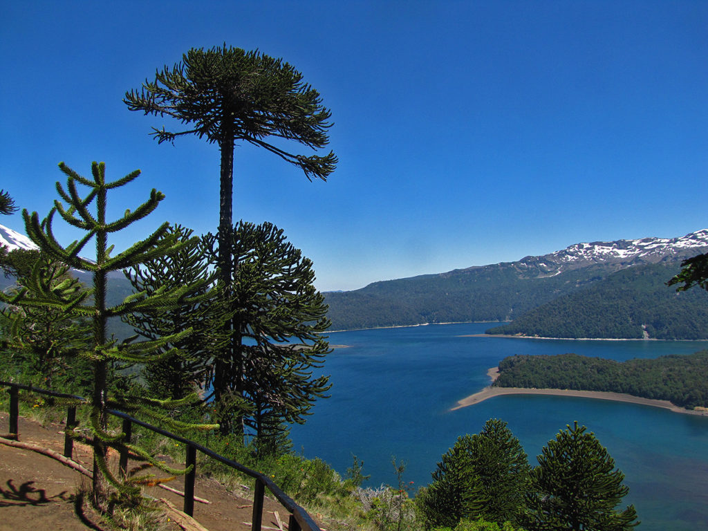 Parque nacional Conguillio - Ermitano Expediciones